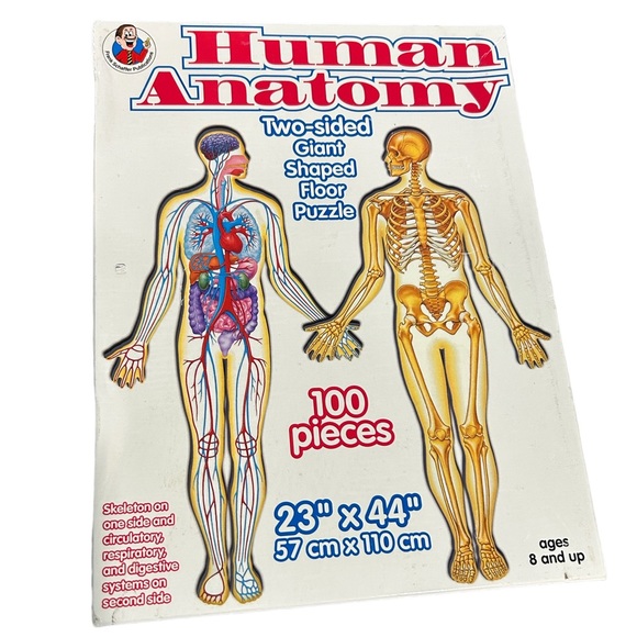 Frank Schaffer Publications | Games | Human Anatomy Two Sided Giant ...